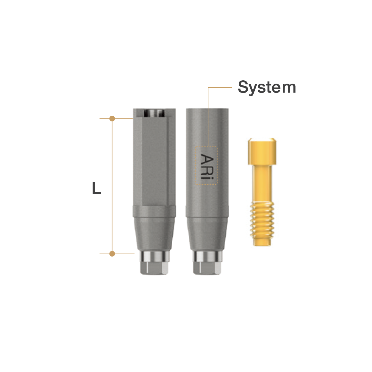 MEGAGEN / Scan Abutment [AR] φ4/ L=13